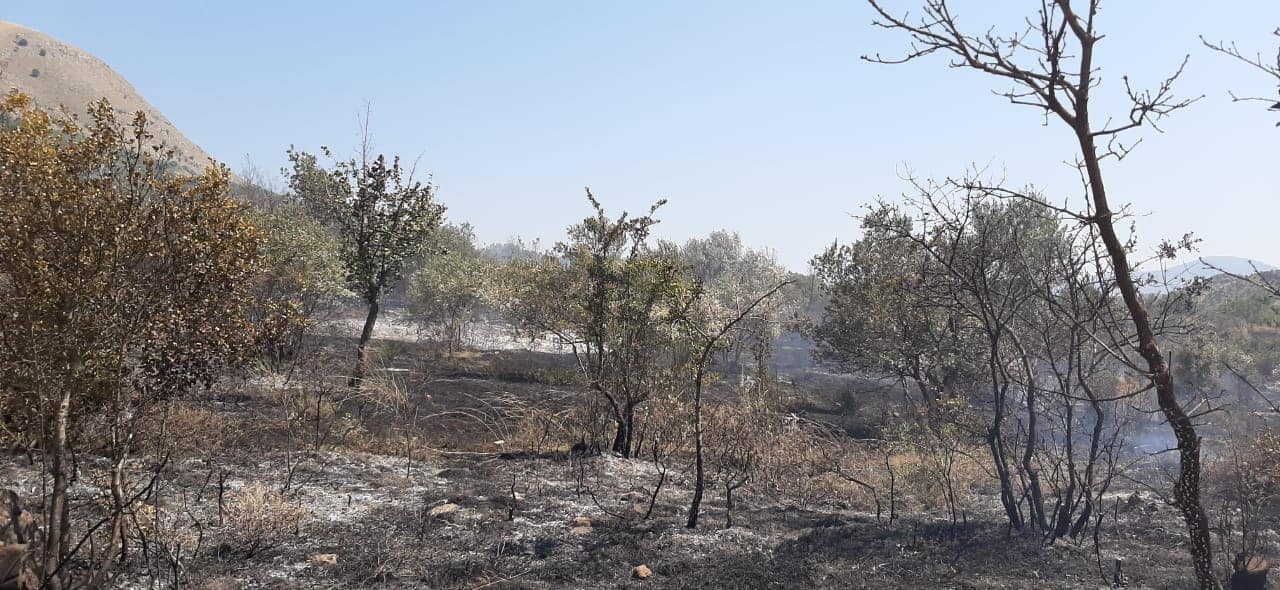 ΦΩΤΙΑ ΣΕ ΕΞΕΛΙΞΗ ΣΤΟ ΧΩΡΙΟ ΛΥΒΕΝΑ ΔΗΜΟΥ ΦΟΙΝΙΚΑΙΩΝ | Finiq