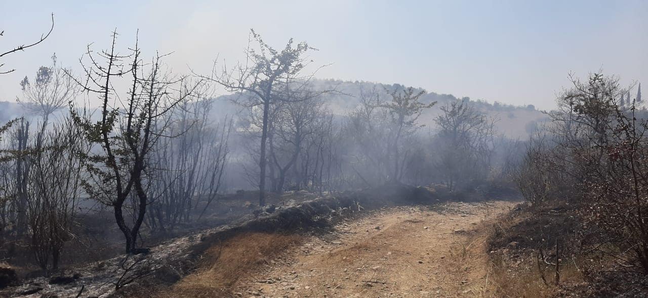 ΦΩΤΙΑ ΣΕ ΕΞΕΛΙΞΗ ΣΤΟ ΧΩΡΙΟ ΛΥΒΕΝΑ ΔΗΜΟΥ ΦΟΙΝΙΚΑΙΩΝ | Finiq