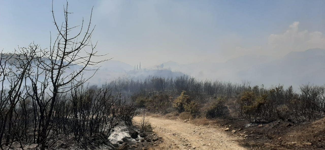 ΦΩΤΙΑ ΣΕ ΕΞΕΛΙΞΗ ΣΤΟ ΧΩΡΙΟ ΛΥΒΕΝΑ ΔΗΜΟΥ ΦΟΙΝΙΚΑΙΩΝ | Finiq