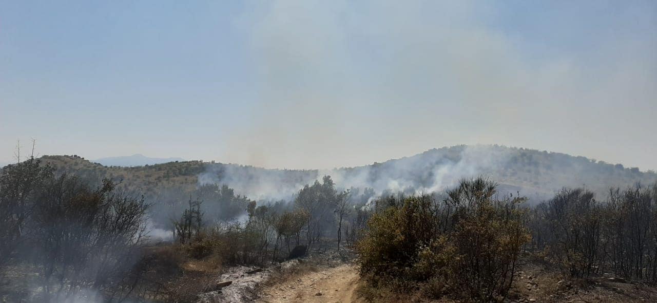 ΦΩΤΙΑ ΣΕ ΕΞΕΛΙΞΗ ΣΤΟ ΧΩΡΙΟ ΛΥΒΕΝΑ ΔΗΜΟΥ ΦΟΙΝΙΚΑΙΩΝ | Finiq