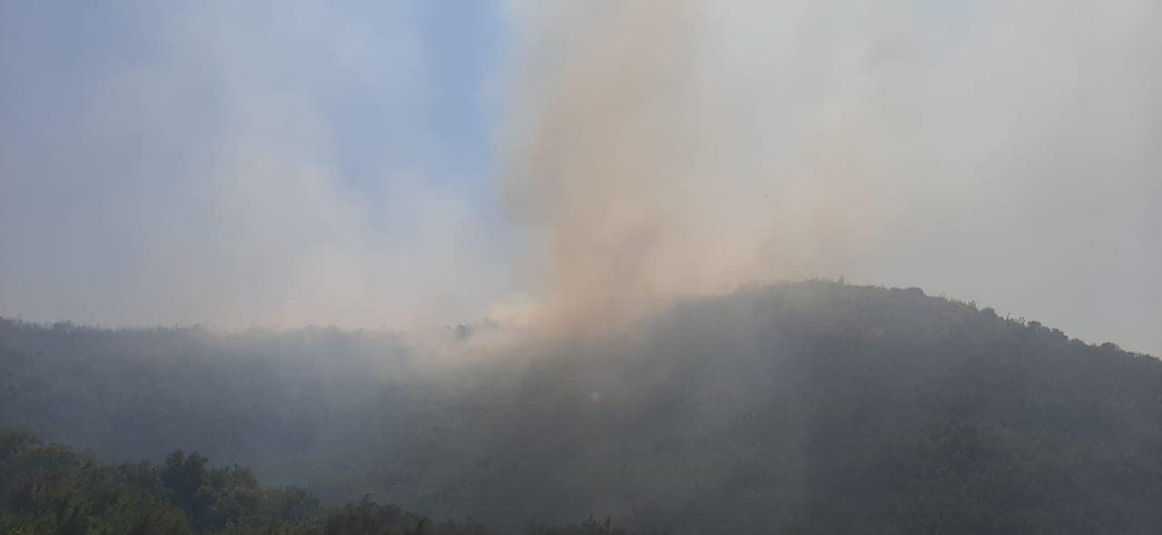 ΦΩΤΙΑ ΣΕ ΕΞΕΛΙΞΗ ΣΤΟ ΧΩΡΙΟ ΛΥΒΕΝΑ ΔΗΜΟΥ ΦΟΙΝΙΚΑΙΩΝ | Finiq